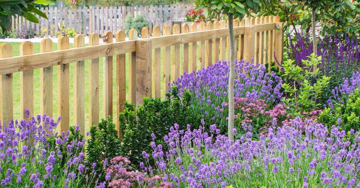 6 Trending Styles of Garden Fences